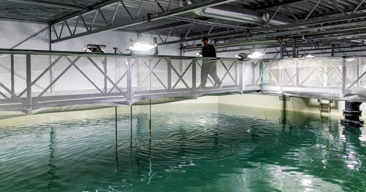 Nofitech | Summa Equity portfolio report 2022